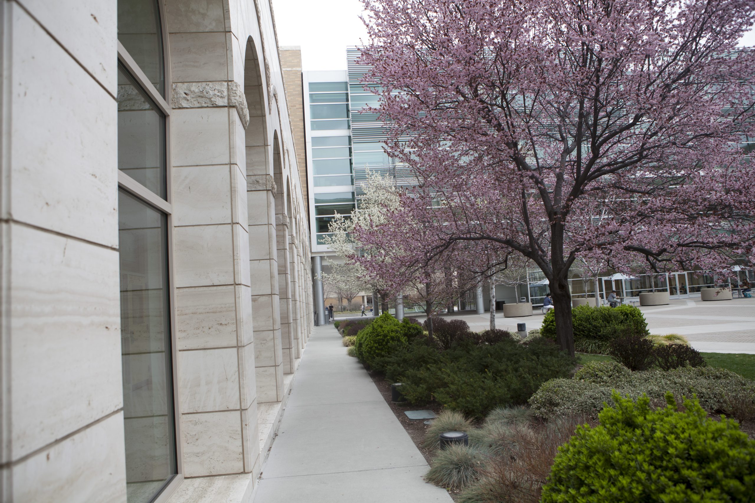 2017 – Humanities Center