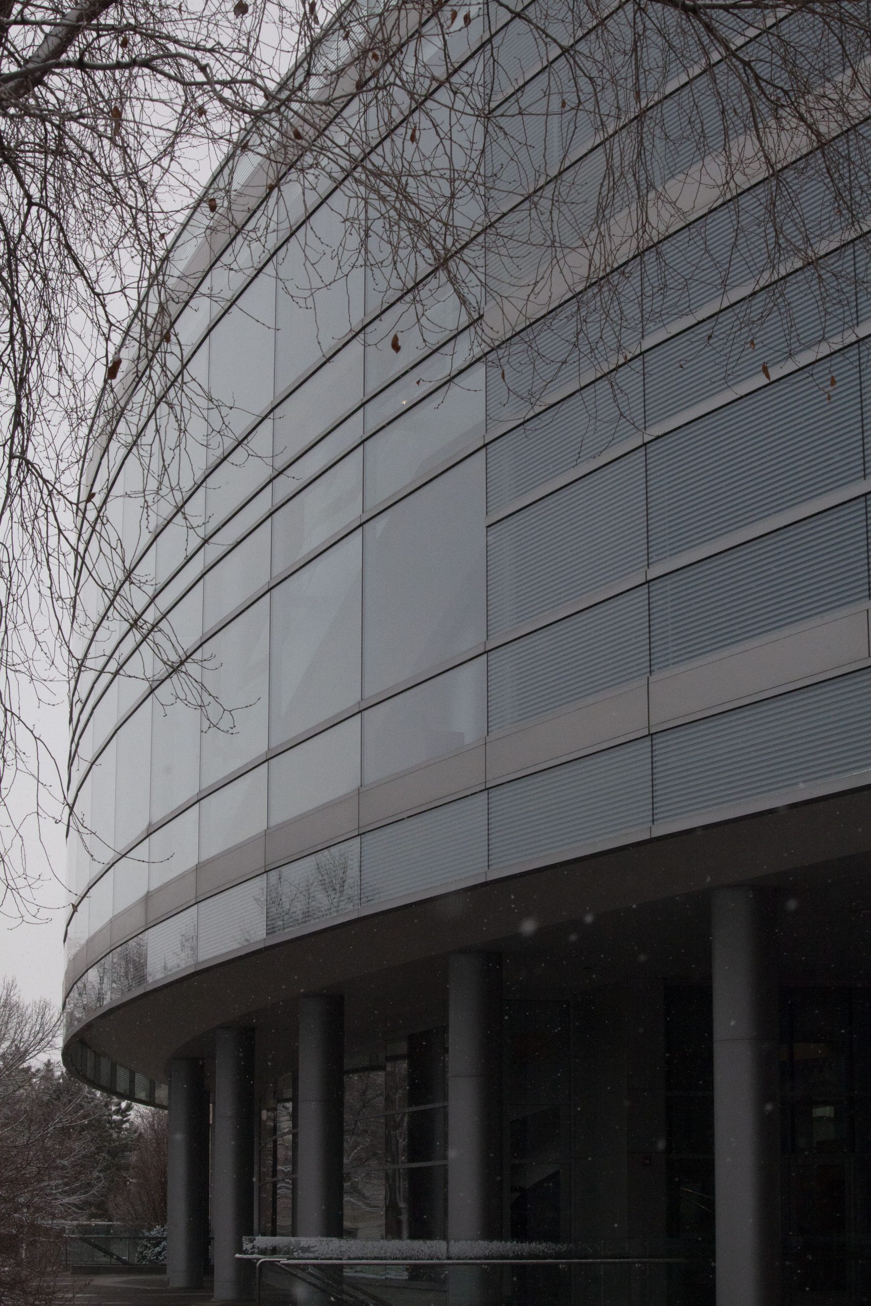 Winter 2019 – Humanities Center