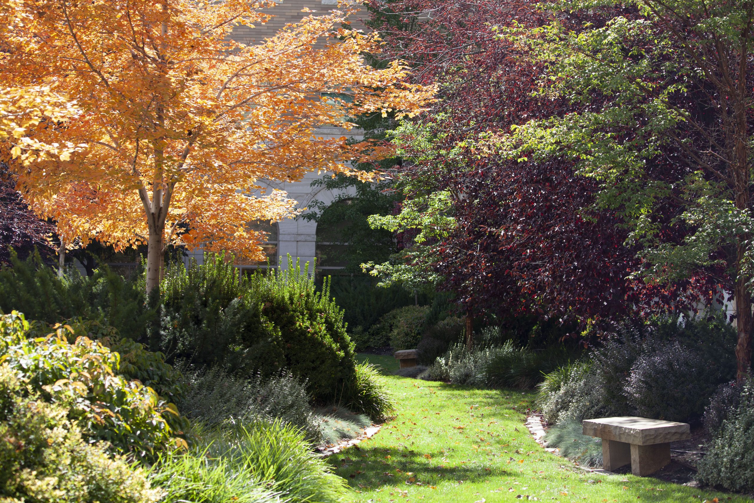 Fall 2019 – Humanities Center