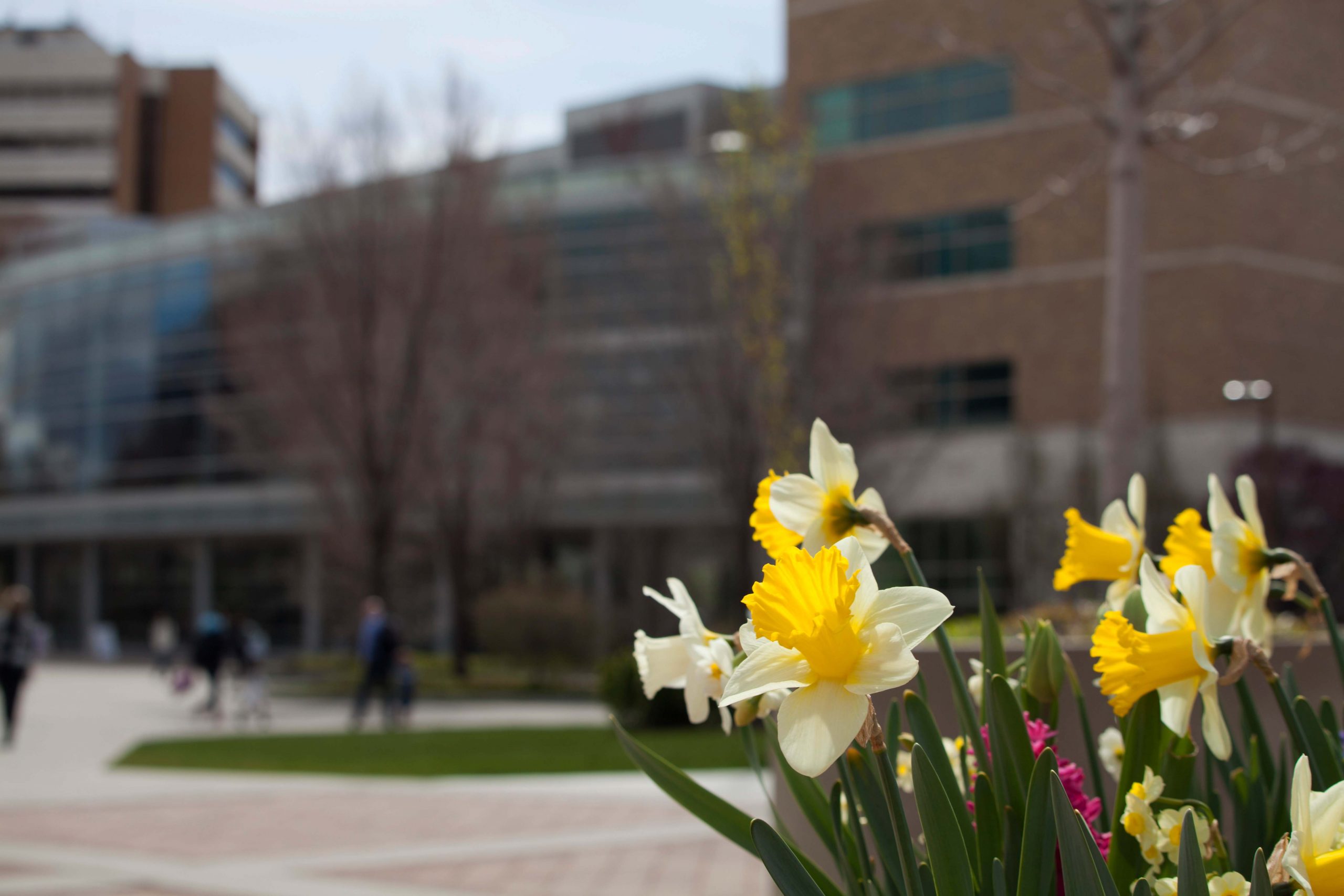 Fall 2022 – Humanities Center