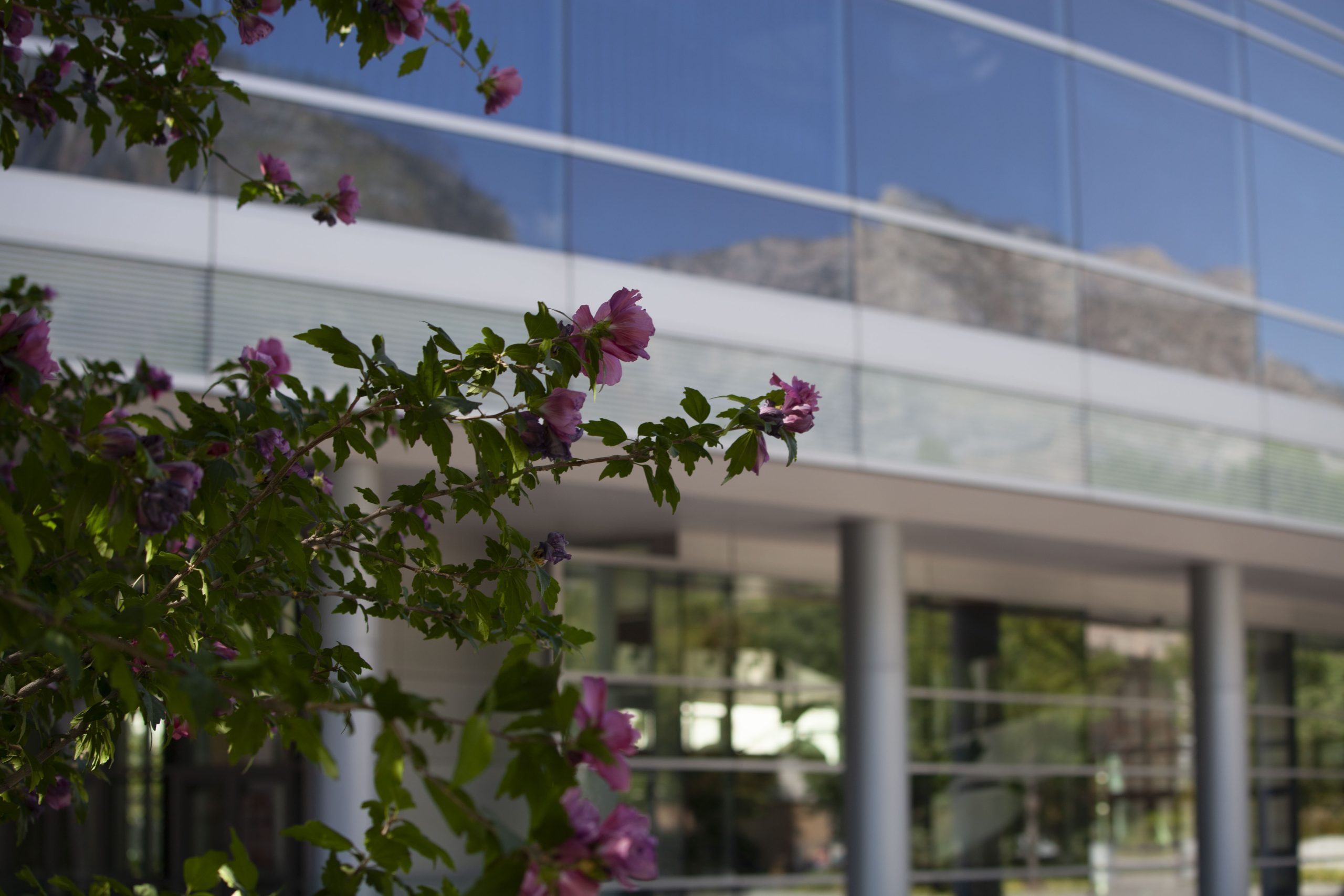 Fall 2024 – Humanities Center